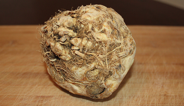 Celery | Diseases and Pests, Description, Uses, Propagation