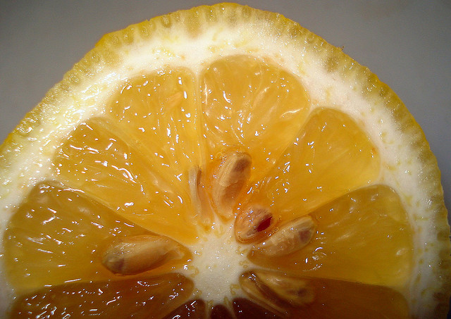 Lemon | Diseases and Pests, Description, Uses, Propagation