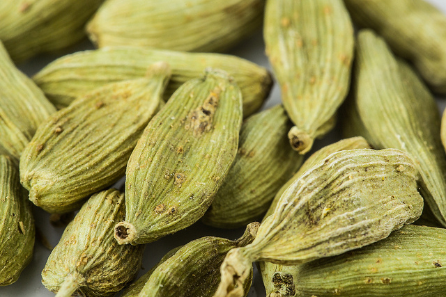 Cardamom | Diseases and Pests, Description, Uses, Propagation