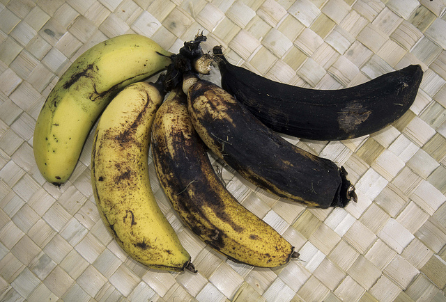 Banana | Diseases and Pests, Description, Uses, Propagation