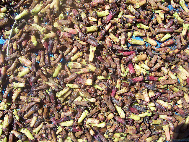 Clove | Diseases and Pests, Description, Uses, Propagation