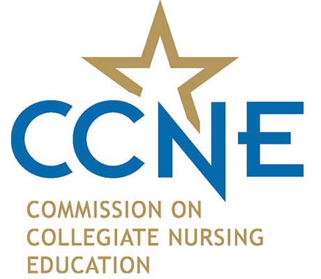 CCNE Solution Provider : AACN Conference Recordings | Virtual ...
