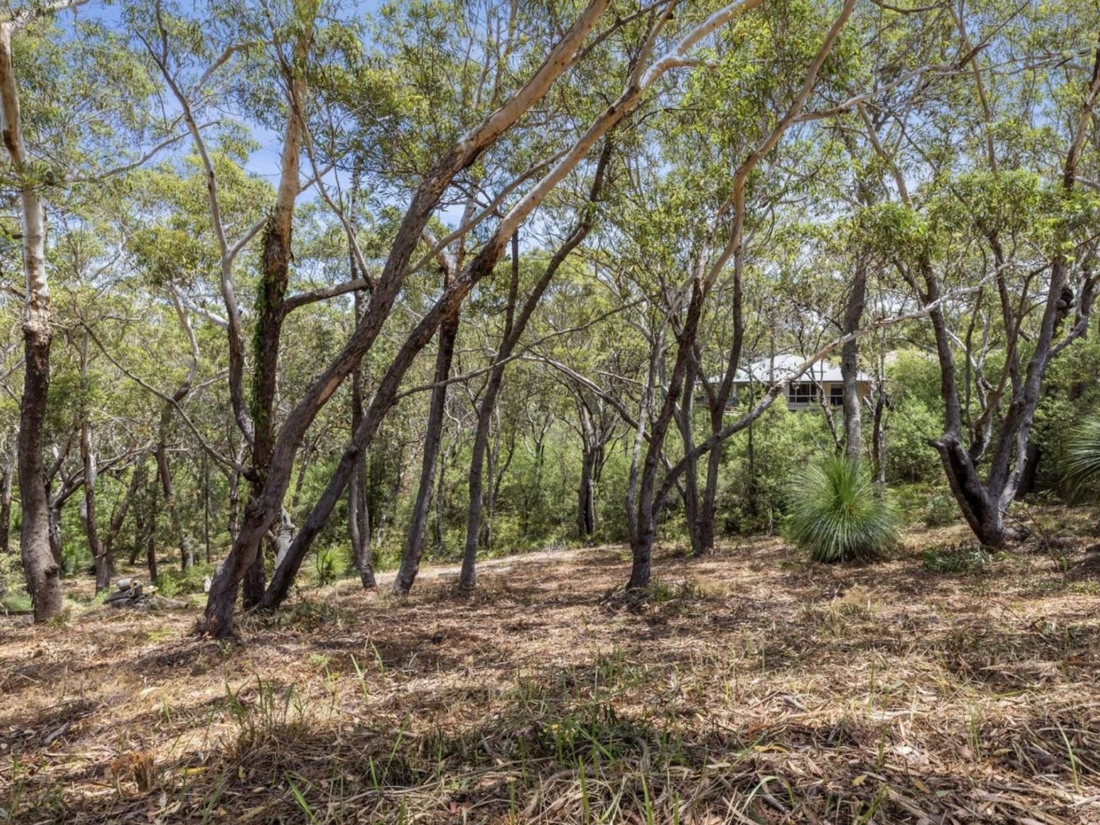 Private Sale Property Dunbogan NSW 2443 | 11 Birramal Drive