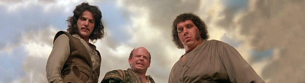 The Princess Bride: Inconceivable! by Sparkworks