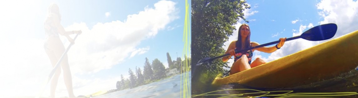 Origami Paddler Order Surveys by Origami Paddler