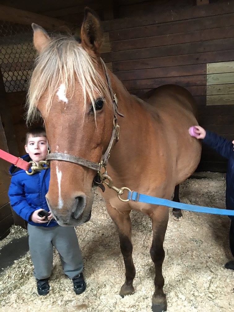 Galleries - POAC Autism Services