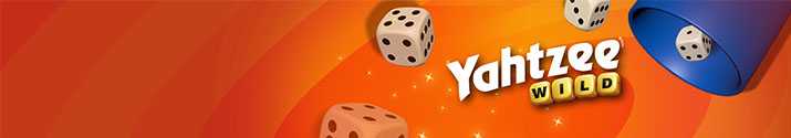 Play New Yahtzee! Wild on Pogo!