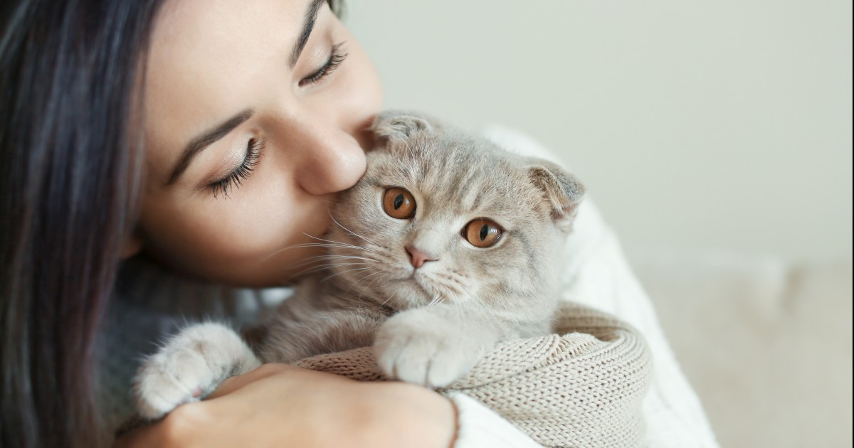 Por Dentro | Familia y Crianza: Los gatos también generan vínculos de ...