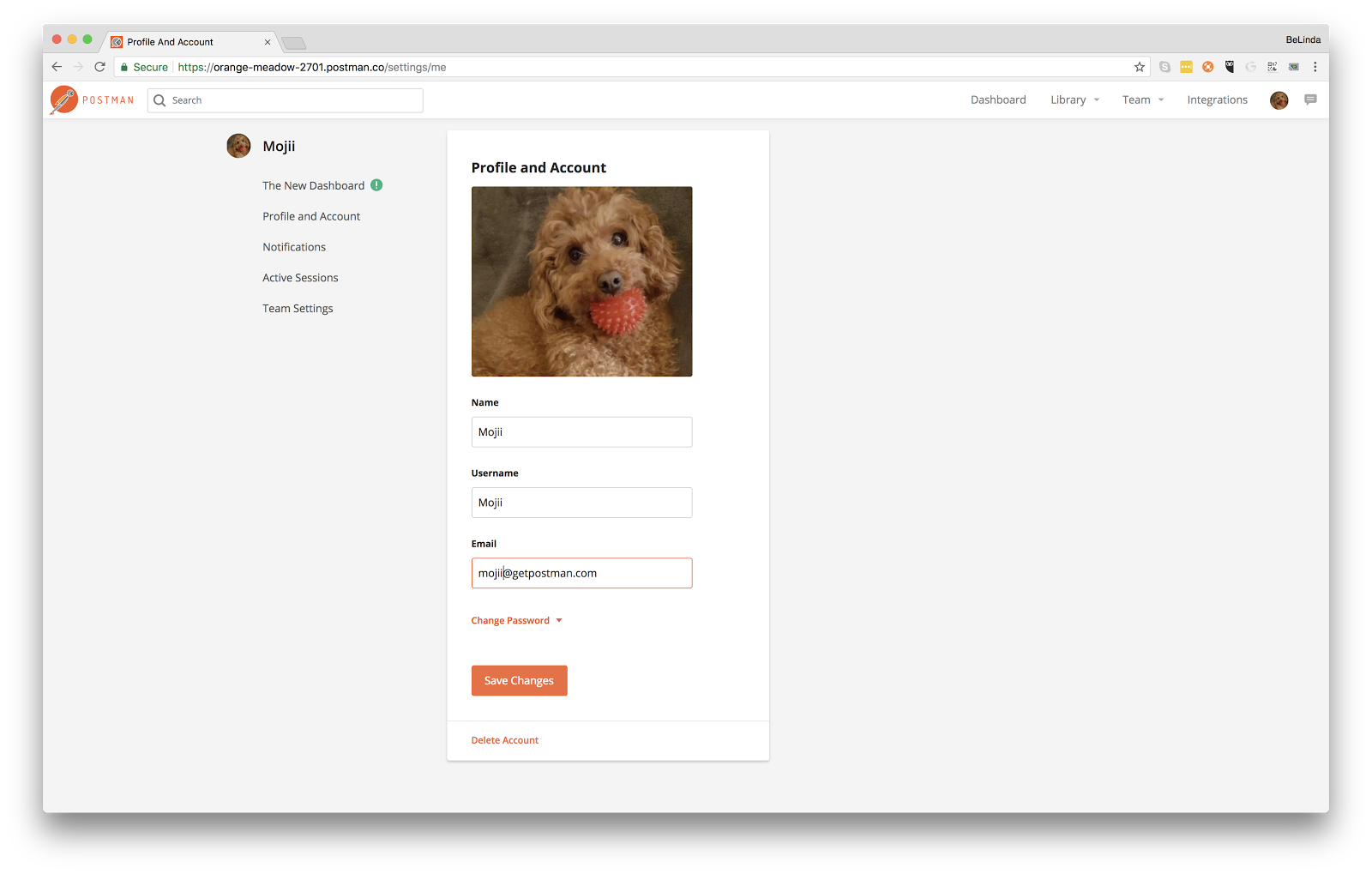 Postman Account
