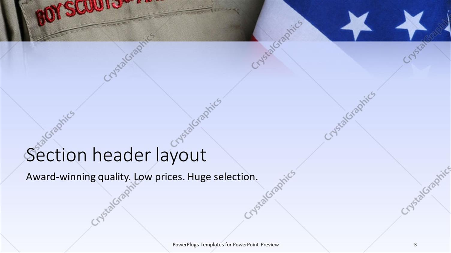 Premium Template for PowerPoint & Google Slides (30338)