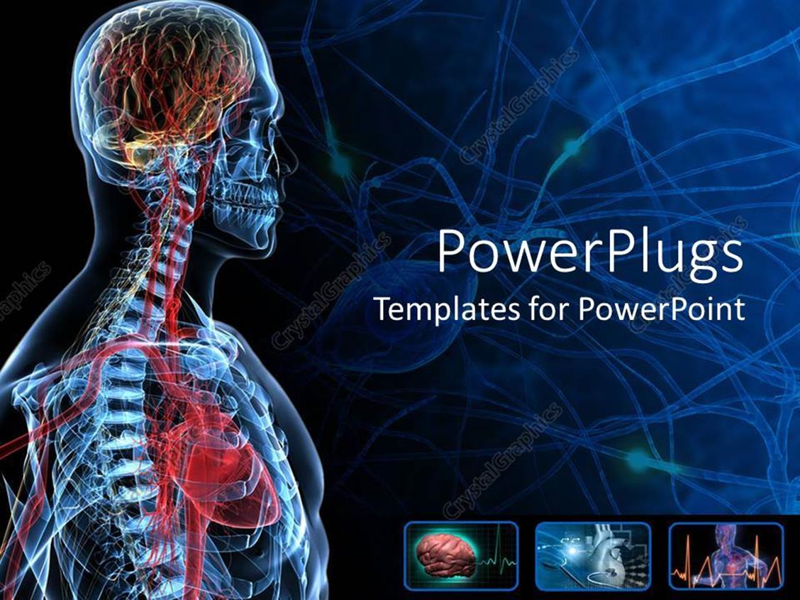 PowerPoint Template: the anatomy of a human with bluish background (20116)