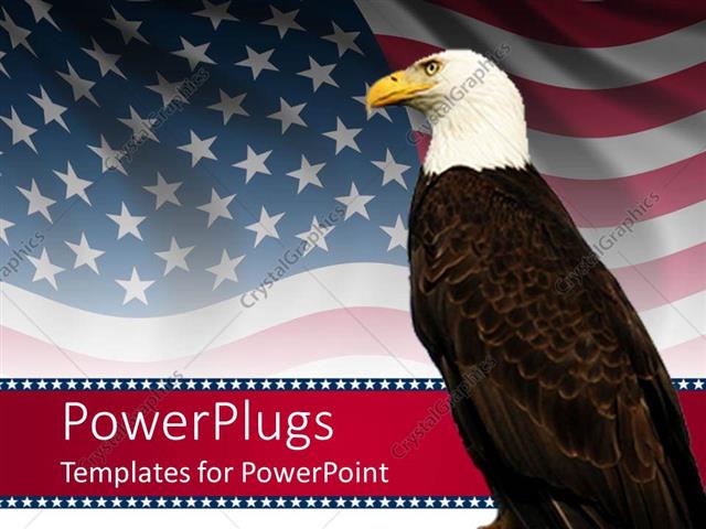 PowerPoint Template: Bald eagle in front of an american flag background ...