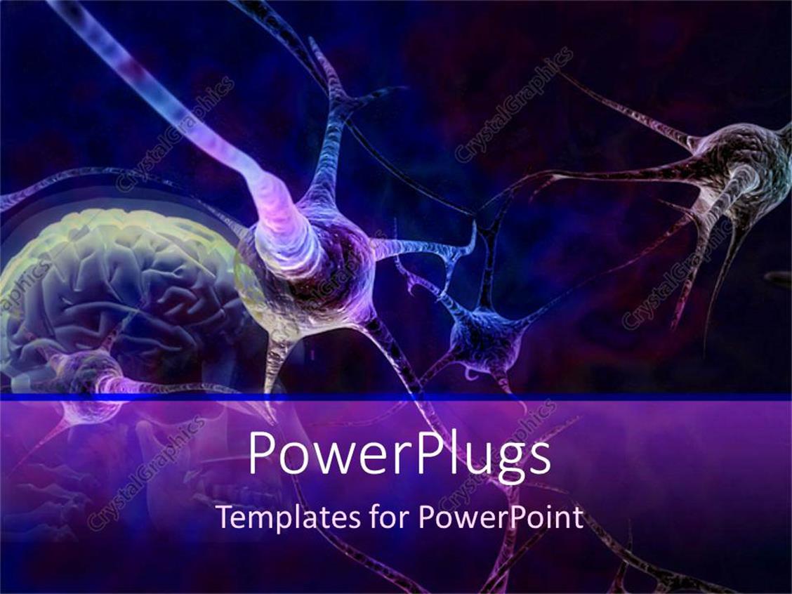 PowerPoint Template: blue and purple neurons connecting in brain for ...