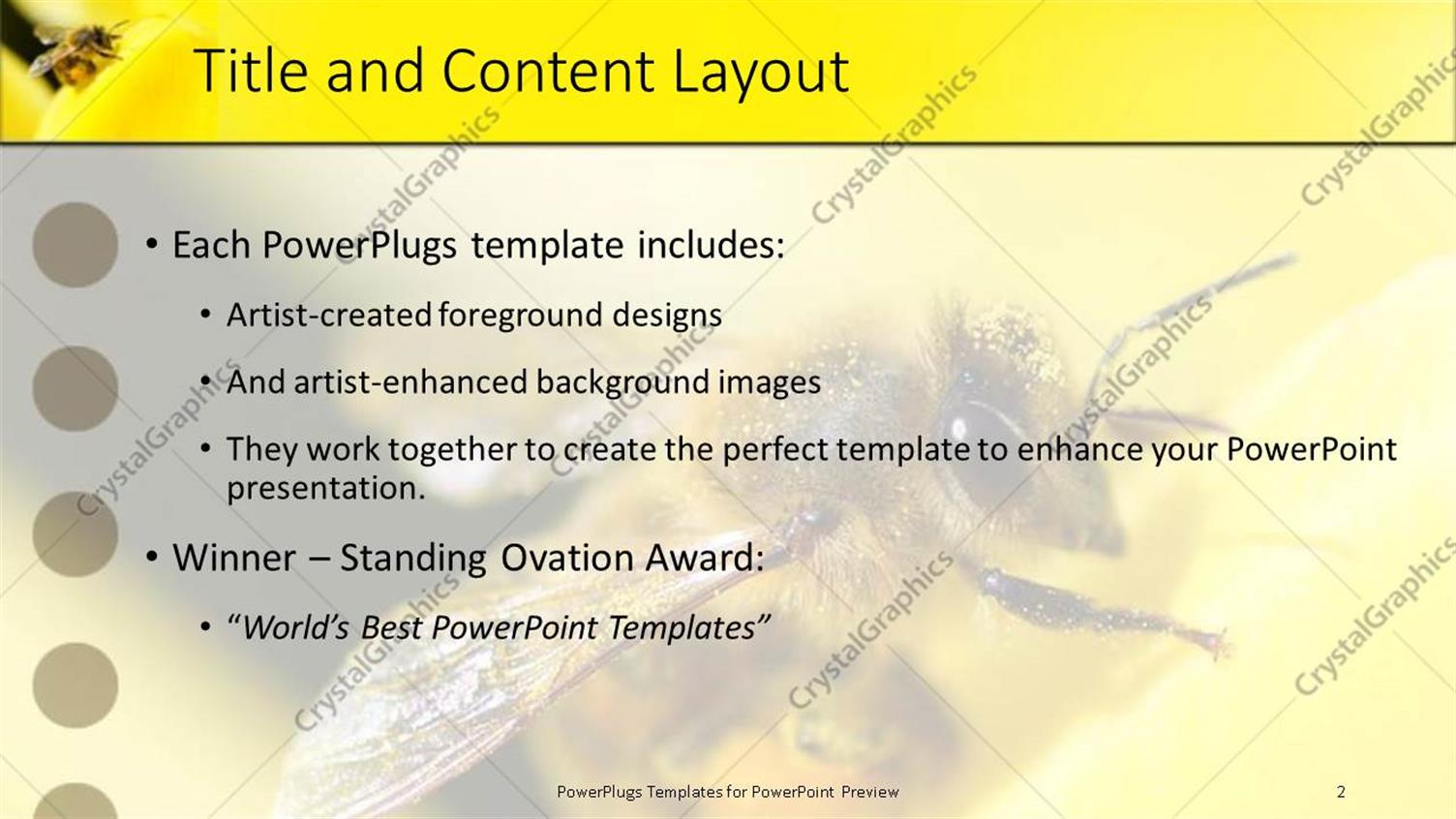 Premium Template for PowerPoint & Google Slides (4301)