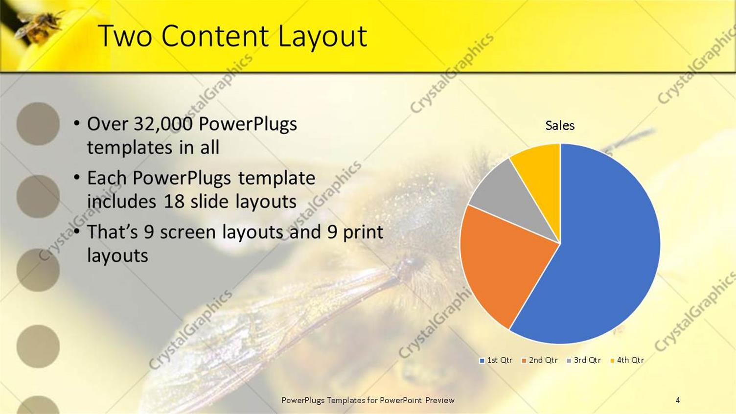 Premium Template for PowerPoint & Google Slides (4301)