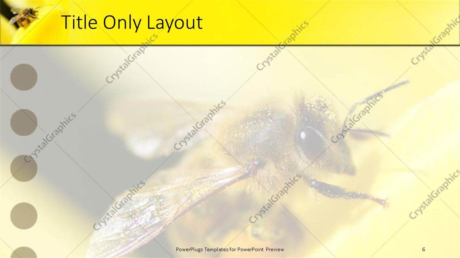 Premium Template for PowerPoint & Google Slides (4301)