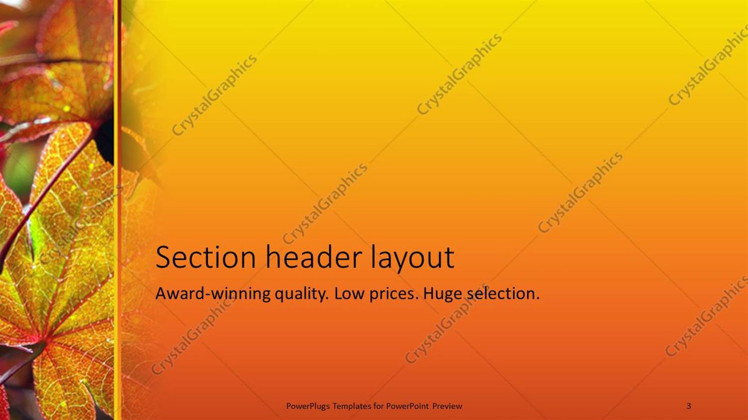 Premium Template for PowerPoint & Google Slides (2350)