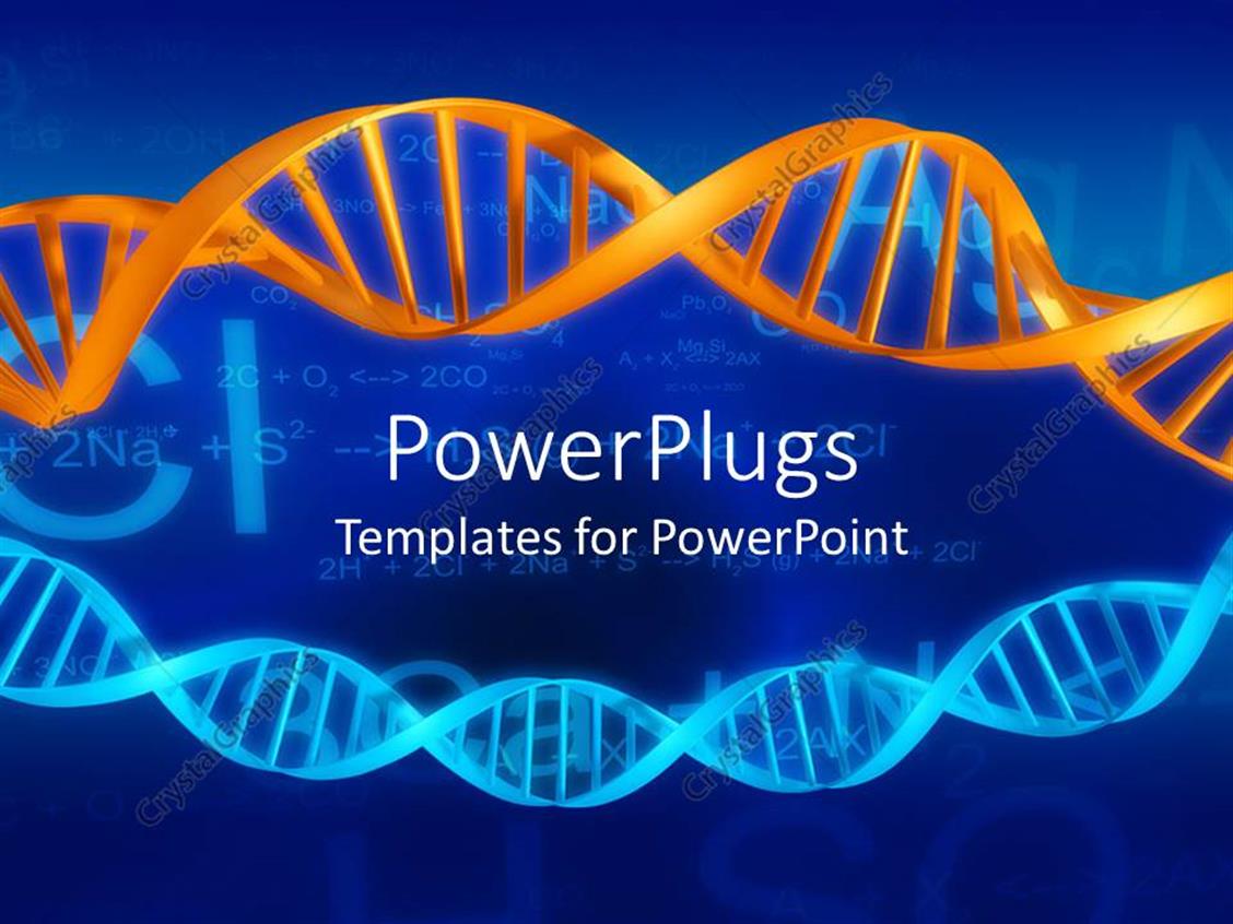 PowerPoint Template: a DNA model including two DNA structures and a ...