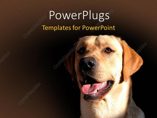 PowerPoint Template: a dog with brownish background and place for text ...