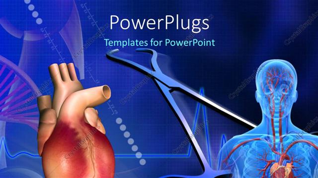 Premium Template for PowerPoint & Google Slides (16120)