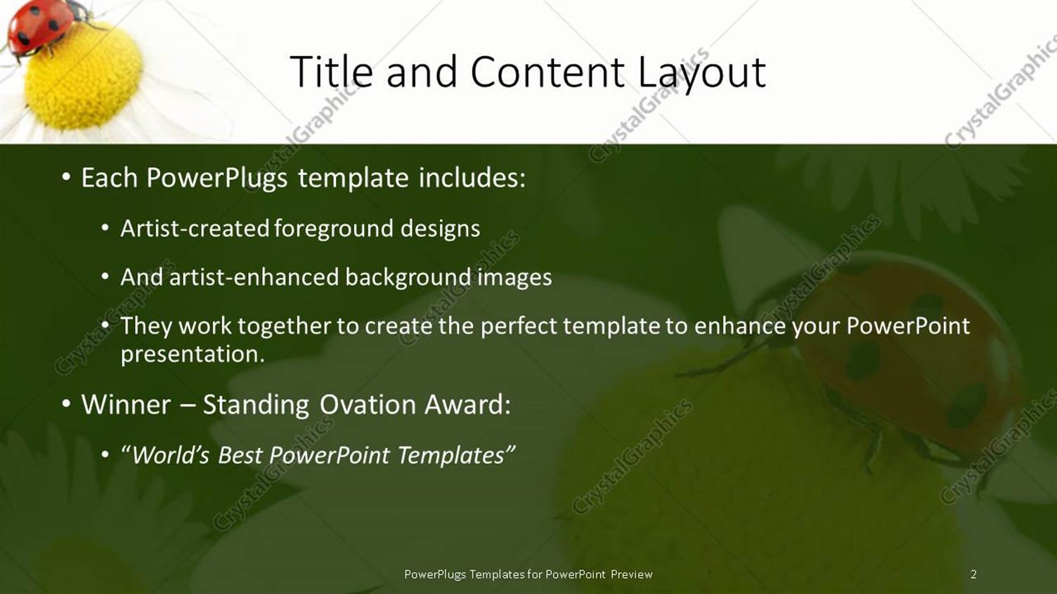 Ladybug On Plant Powerpoint Templates Ladybug On Plant
