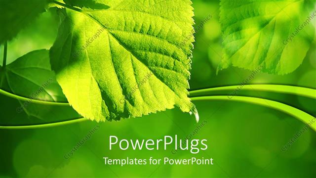 Powerpoint Backgrounds Leaves