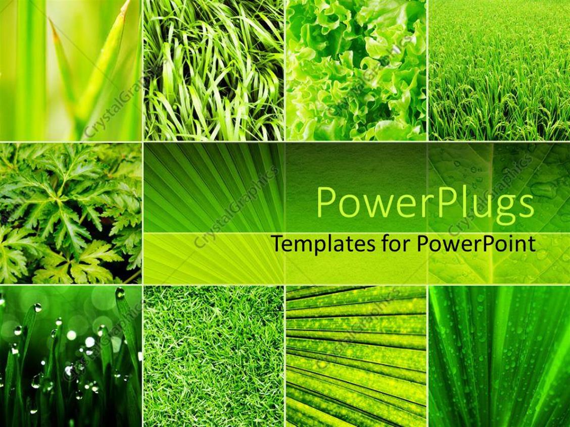 PowerPoint Template: lots of tiles showing diffeent green plants with ...