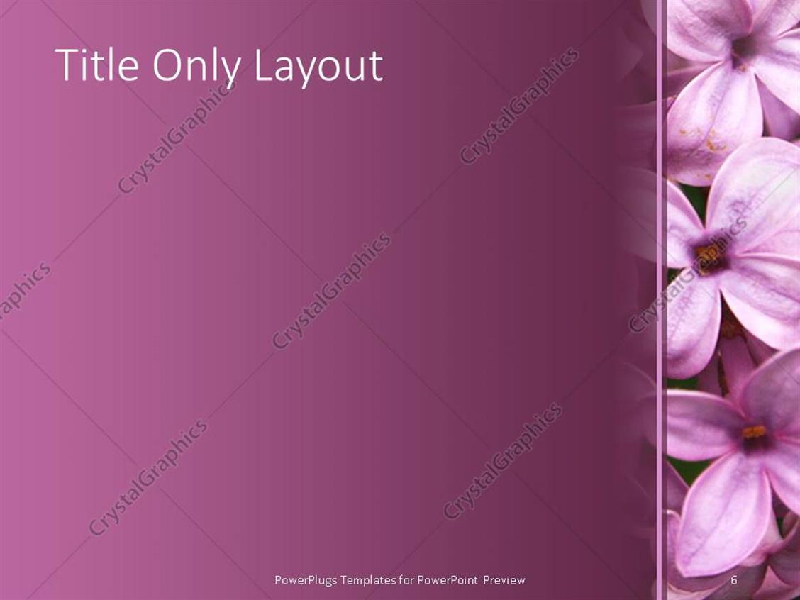 PowerPoint Template: a number of lilacs with blackish background (19047)