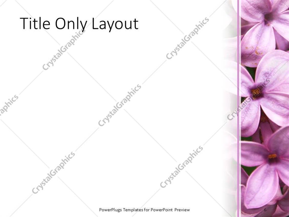 PowerPoint Template: a number of lilacs with blackish background (19047)