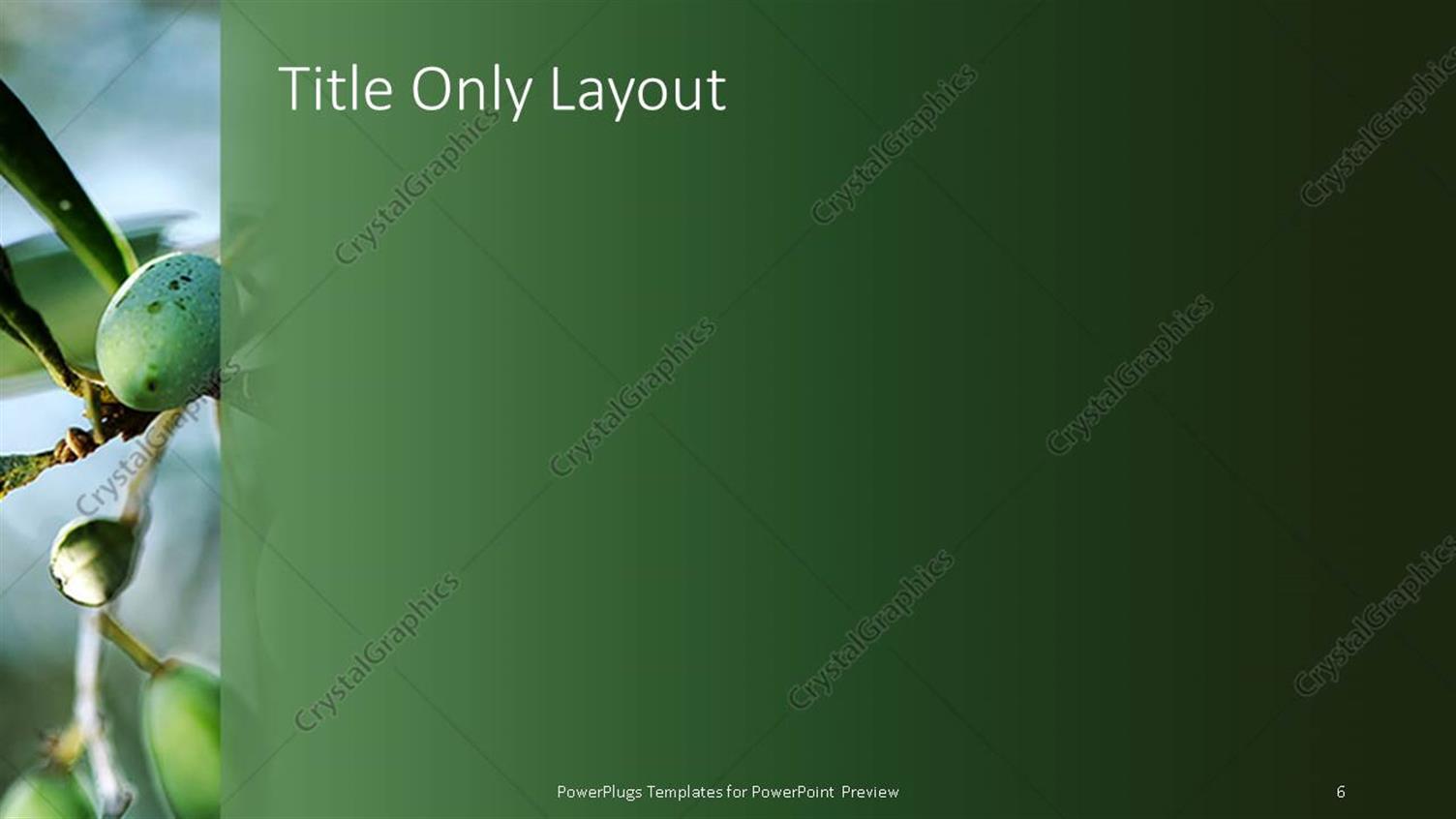 Premium Template for PowerPoint & Google Slides (22458)