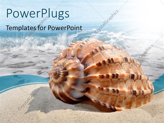 PowerPoint Template: a shell on the beach with sea in the background ...