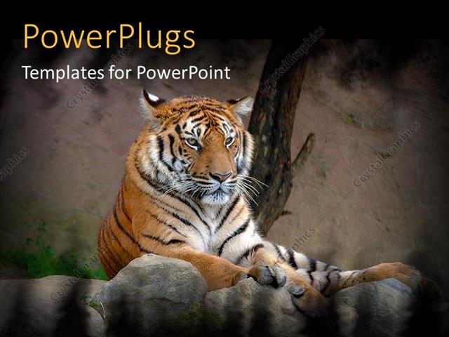 Powerpoint Roaring Tiger