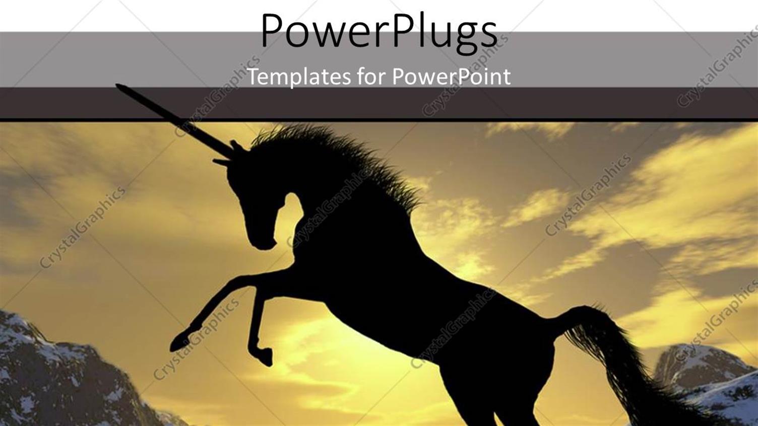 Premium Template for PowerPoint & Google Slides (1795)