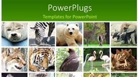 240 Best Animals-Themed Templates for PowerPoint & Google Slides