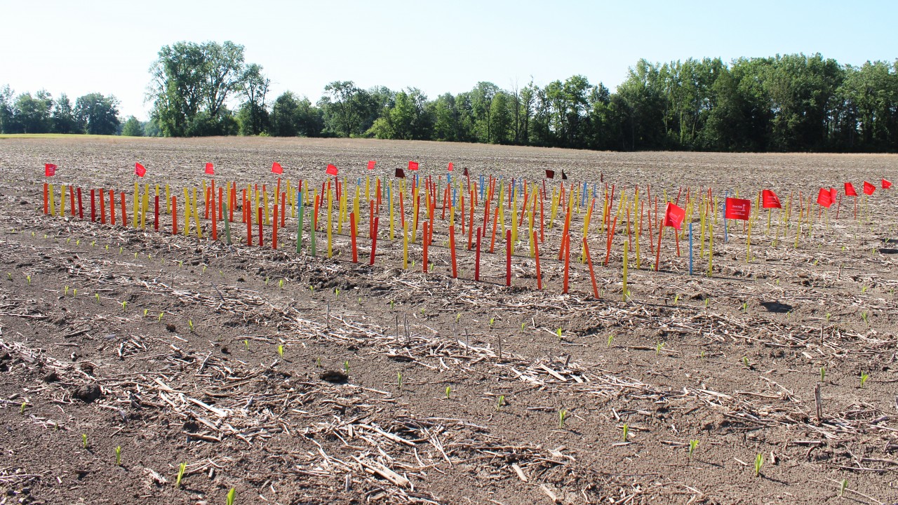 Events | Precision Planting