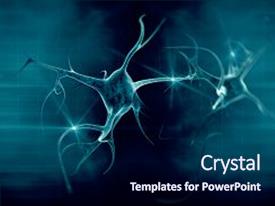 Top Neurology PowerPoint Templates, Backgrounds, Slides and PPT Themes.