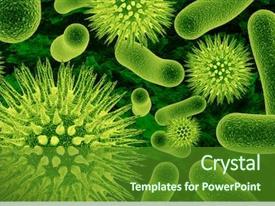 Bacteria PowerPoint Templates w/ Bacteria-Themed Backgrounds