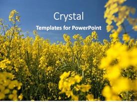 Aerial Landscape Of The Yellow PPT template 11 | CrystalGraphics