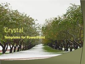 Alley Of Autumnal Trees PPT template 15 | CrystalGraphics