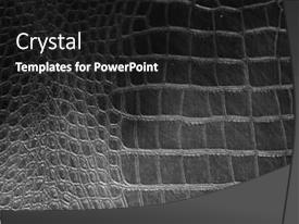 Alligator Skin Crocodile Skin Real PPT template 85 | CrystalGraphics