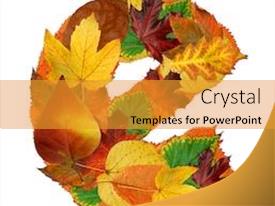 Alphabet Of Autumn Leaves PPT template 33 | CrystalGraphics