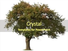 Apple Tree In Early Fall PPT template 76 | CrystalGraphics