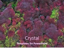 Arctic Moss Polar Colors PPT template 39 | CrystalGraphics