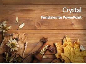Autumn Background With Spices Dried PPT template 65 | CrystalGraphics