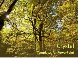 Autumn Forest In Pierre Saint PPT template 75 | CrystalGraphics