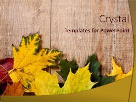 Autumn Leaves Over Wooden Background PPT template 65 | CrystalGraphics