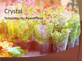 Beautiful Flowers Outside Of Flower PPT template 26 | CrystalGraphics