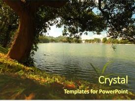 Big Tree On A Cost PPT template 63 | CrystalGraphics