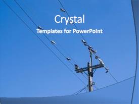 Birds On A Wire PPT template 35 | CrystalGraphics