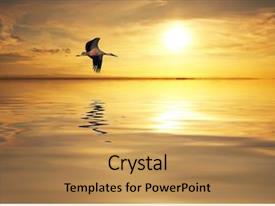 Birds Sky Majestic Flight PPT template 53 | CrystalGraphics